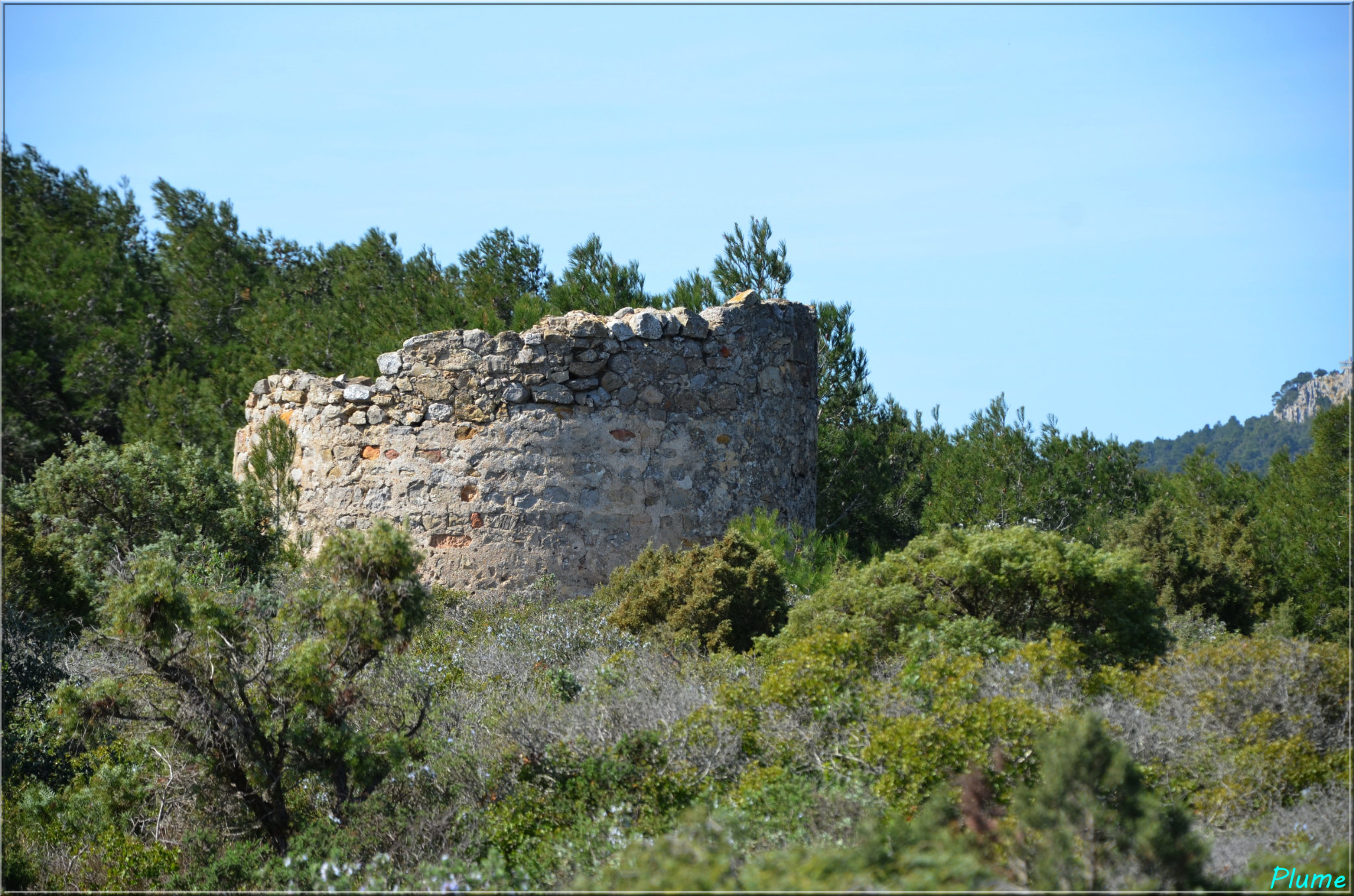 Le vieux château Rouquette - Les petits mondes de Plume